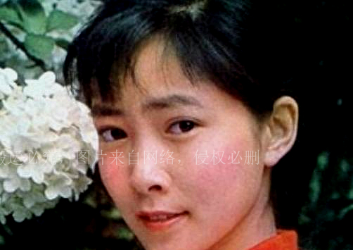 Shen Danping, a popular actress in the 1980s, married a foreigner 14 ...