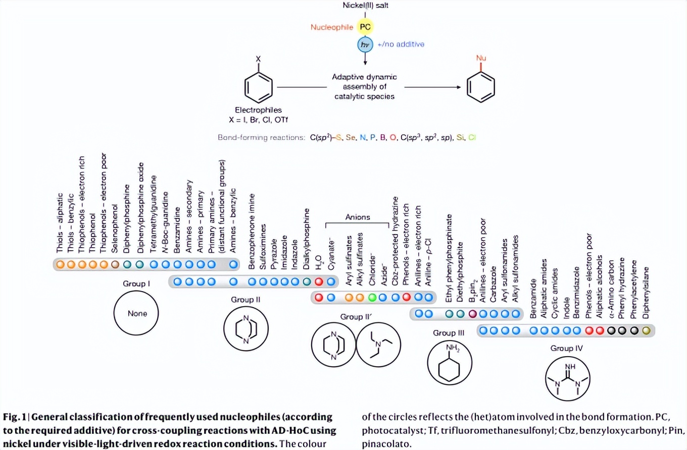 General cross-coupling reactions with adaptive dynamic homogeneous ...