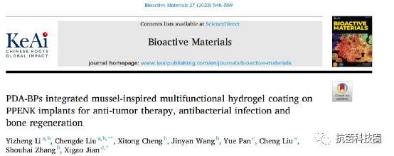 Mussel-inspired multifunctional hydrogel coatings for antitumor therapy ...