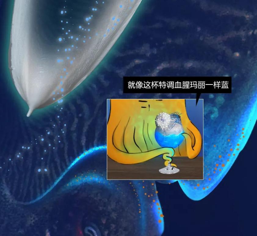 Squid sprays ink from the anus, no one really likes to drink cuttlefish ...