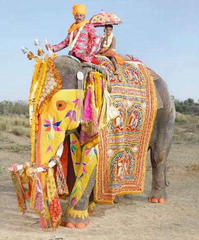 Sacred Symbols: The Elephant in Hindu Mythology - iNEWS