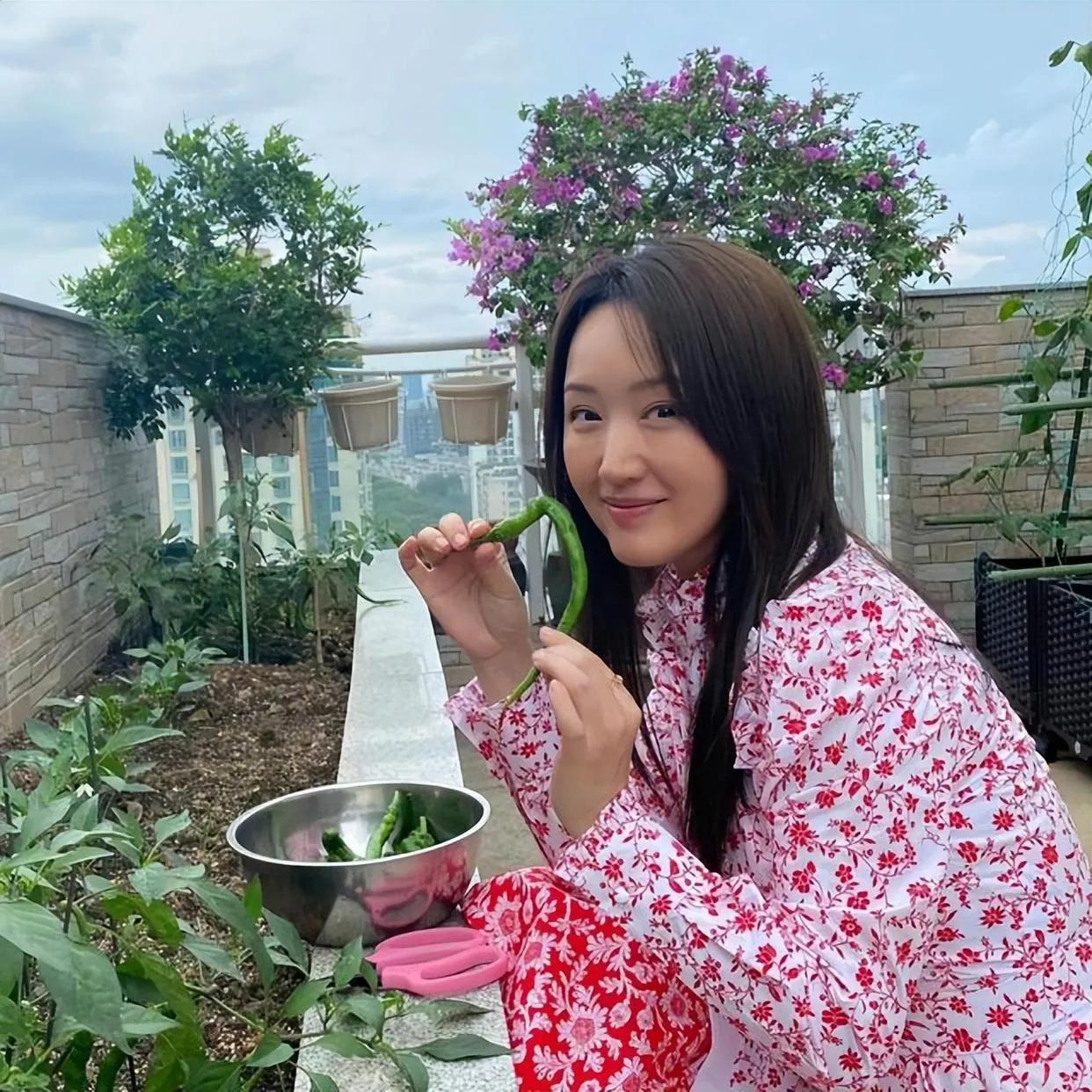 "Queen of Sweet Songs" Yang Yuying, still sweet at the age of 51 ...