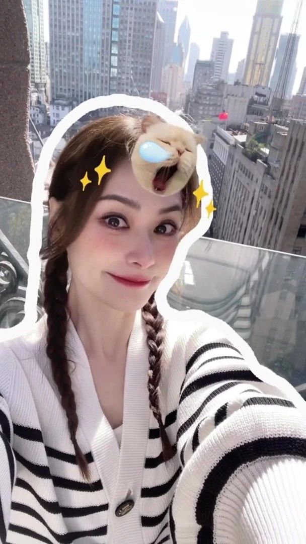 Twins fancy cat fighting show cute Gillian was praised for the real ...