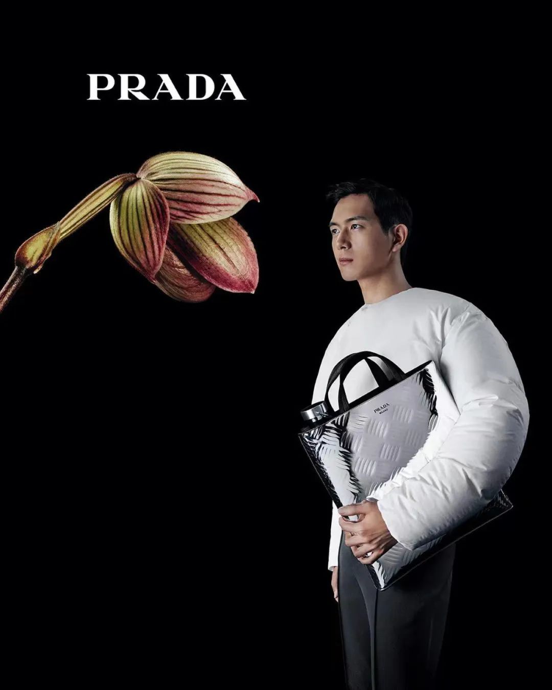 The only Asian face in the new season PRADA global ready-to-wear ...