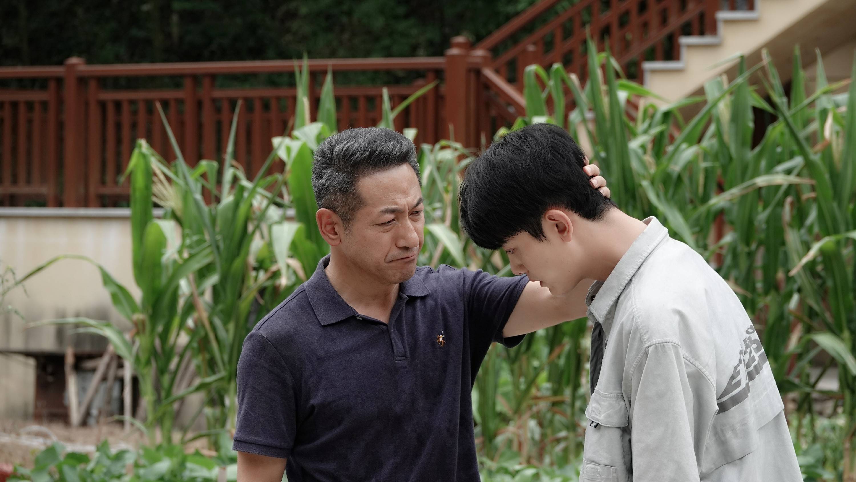 Guo Tiecheng's "Dwelling in the Fuchun Mountains" started broadcasting on Yangyi and Liu ...