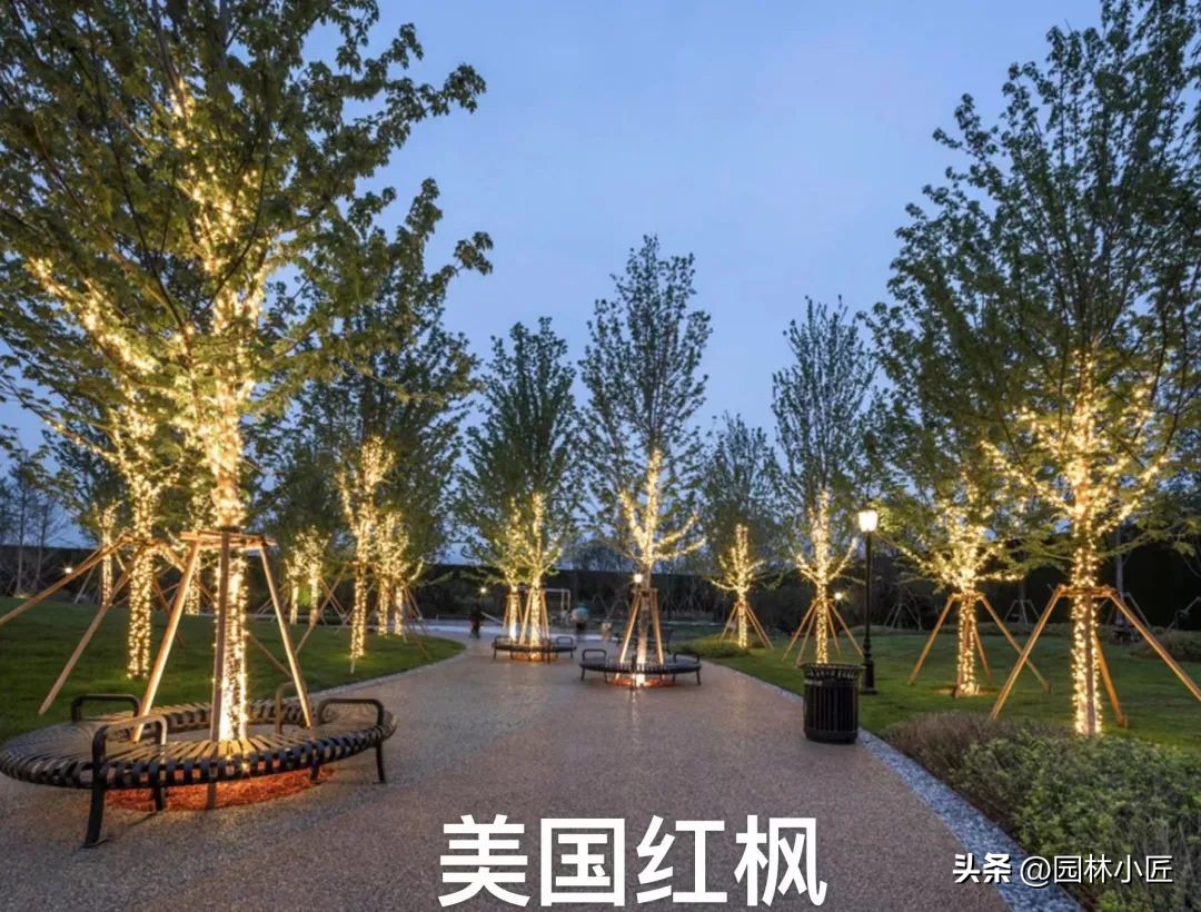 In garden landscape, case sharing of tree array planting effect - iNEWS