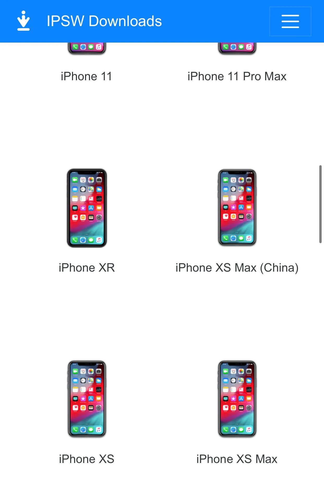 國行版iPhone xs max 可降級，iOS 14.1驗證打開 - 資訊咖