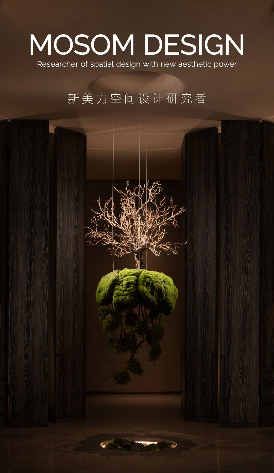 MOSOM Design: Pan-American Design King - iMedia