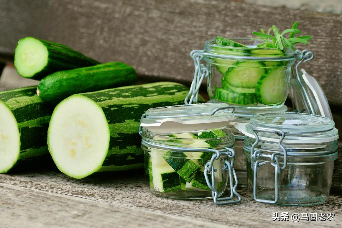 Have eaten cucumbers, but choose cucumbers to grow cucumbers, would you ...