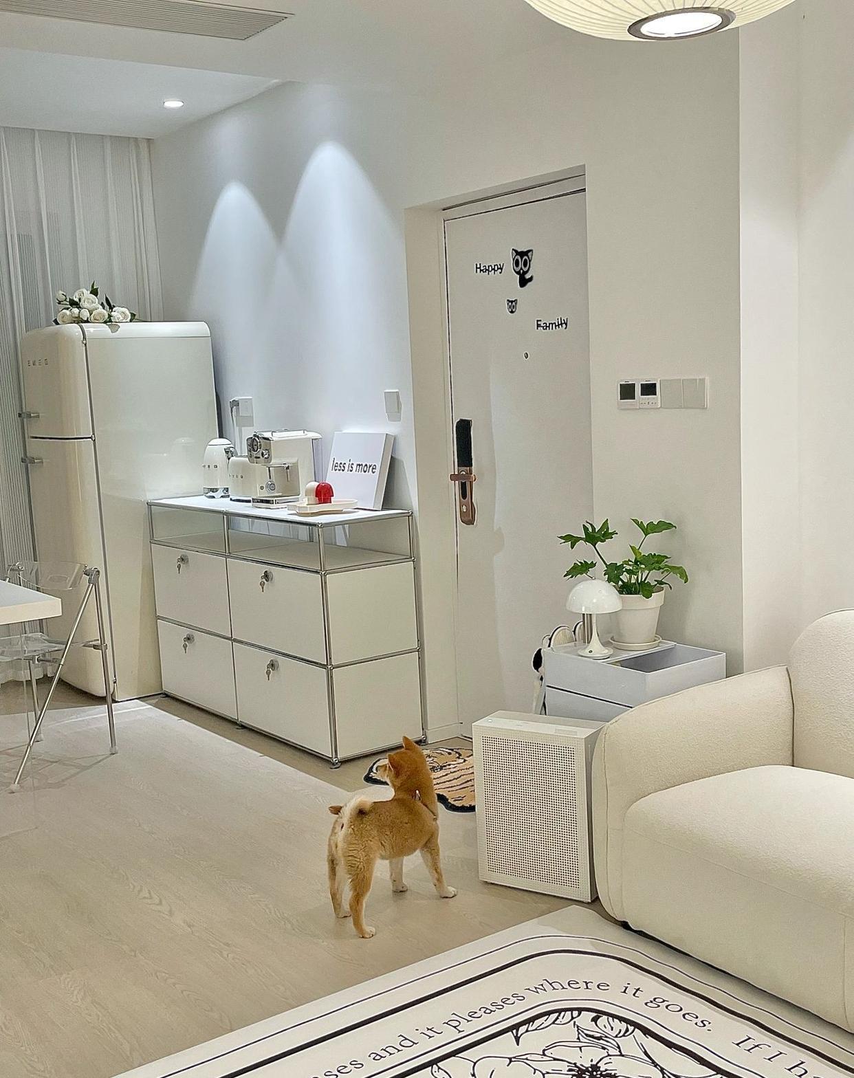 Show off my 6 most sensible "renovation decisions", the new house has ...