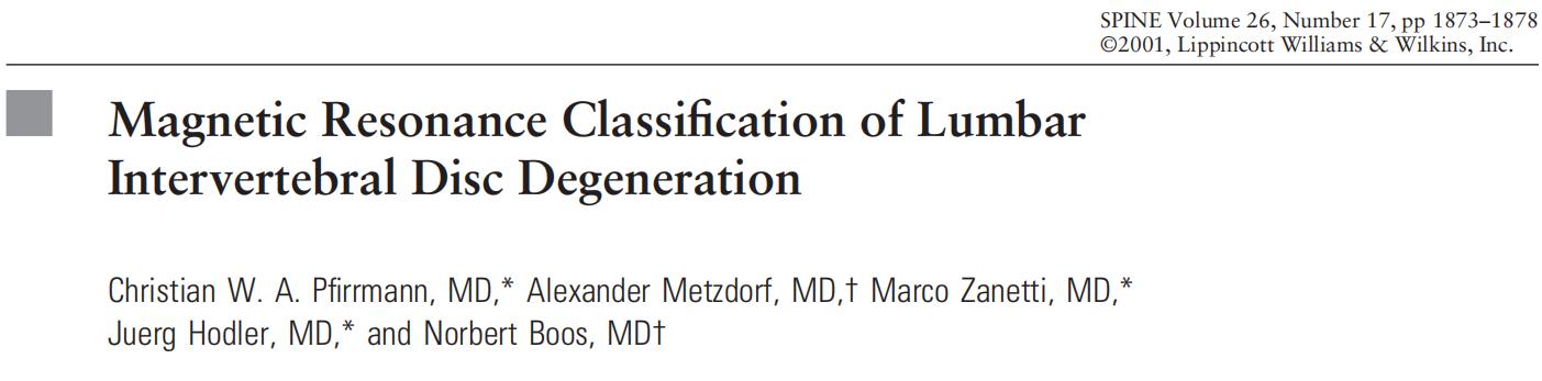 Degenerative grading of lumbar discs and facet joints - iNEWS