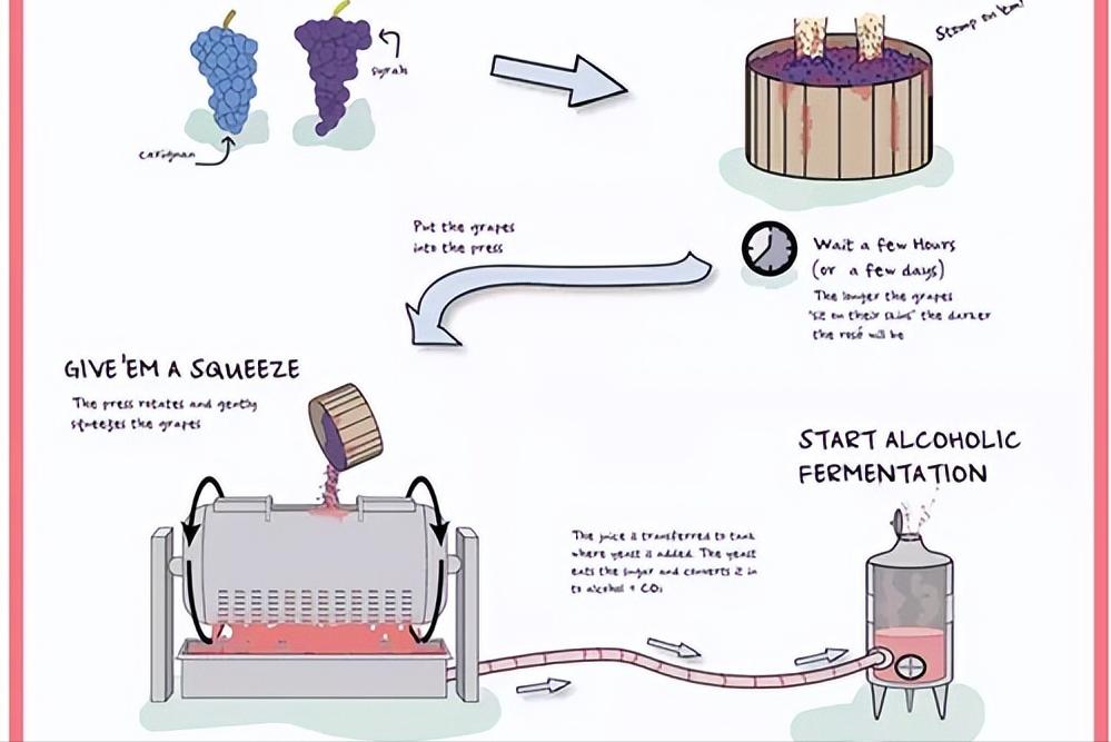 Is there poison in wine?Why Additives Choose It? - iNEWS