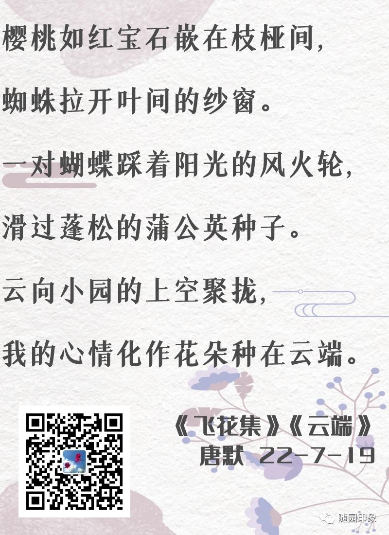 "Cloud", "Bloom" - iNEWS