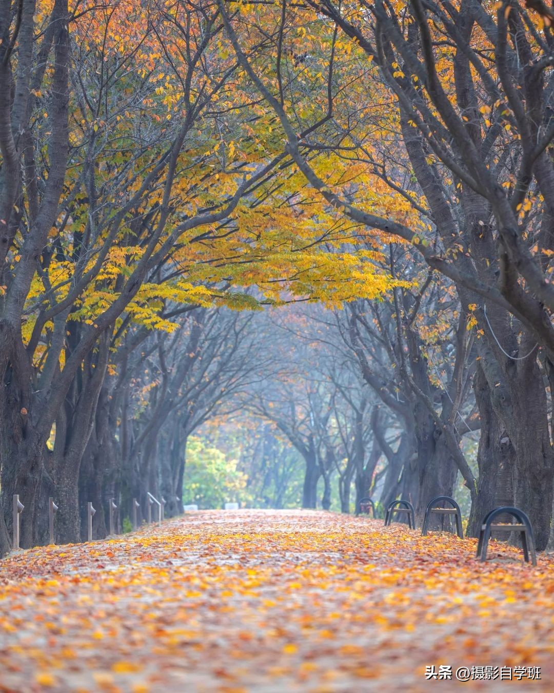 7 landscape photography formulas for professional photographers ...