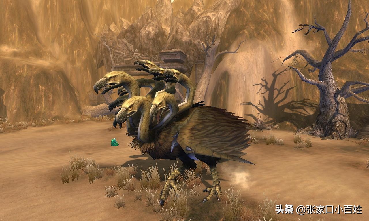 Nine phoenix ghost car (niche encyclopedia) - iNEWS