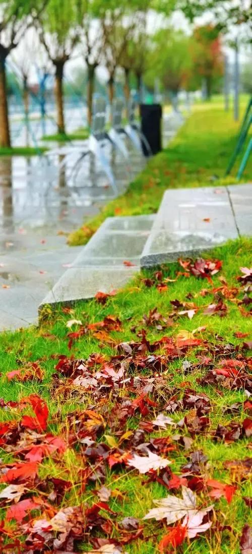 Five words, the spirit of autumn - iNEWS