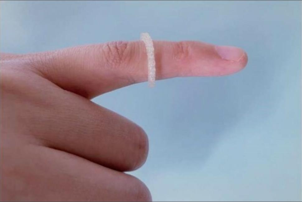 Germany developed a mosquito repellent ring and 3D printed a long ...