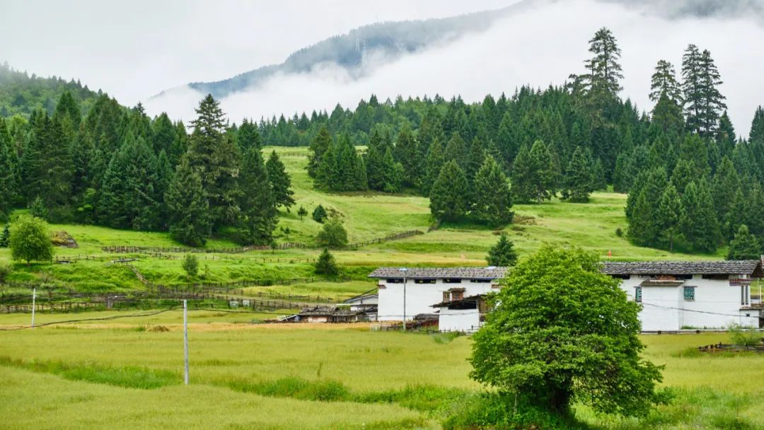 The trip to Sichuan and Tibet, the south of the east of Tibet, the ...