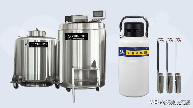 Reasons why gas-phase liquid nitrogen tanks can store cell samples for ...