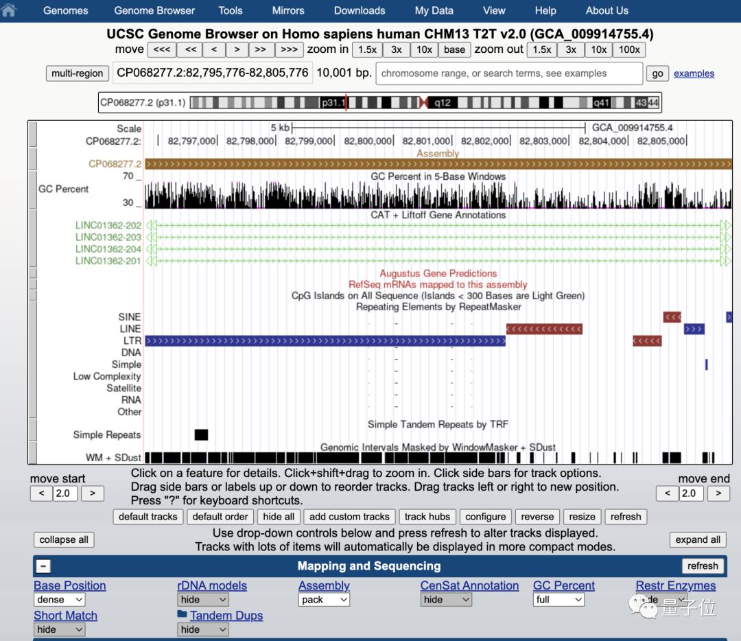 The last piece of the human genome puzzle is complete!Science rare 6 ...