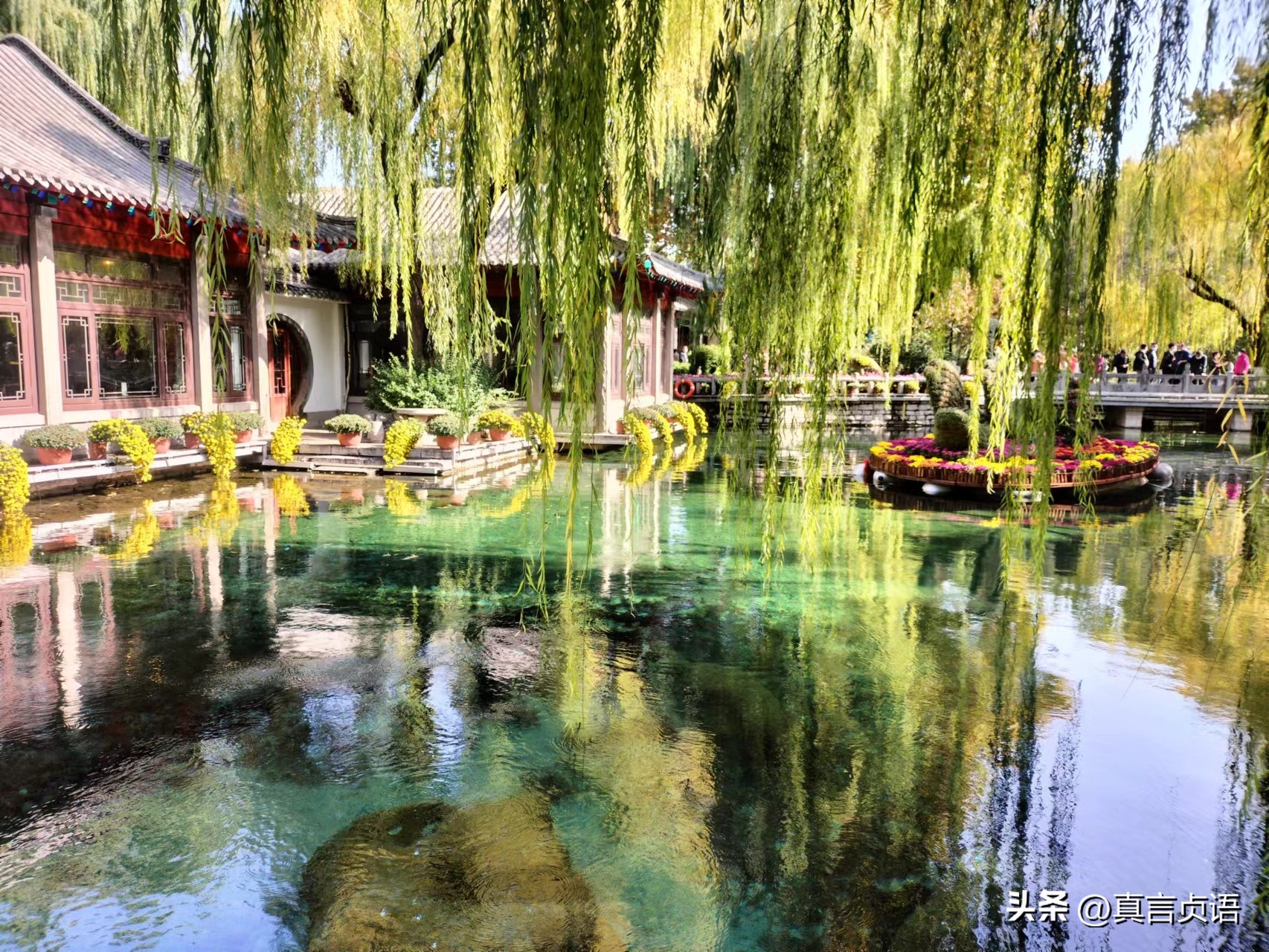 Linquan invites the bright moon with wine, cooks tea and enjoys ...