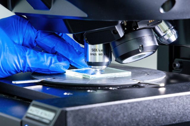 Correlative low-temperature super-resolution light and electron ...