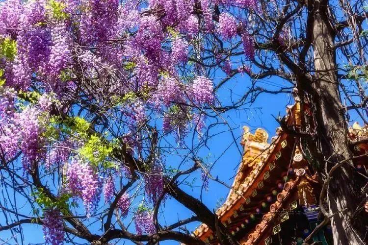 Why can't rulers avoid "cliques" no matter how they adjust and reform ...