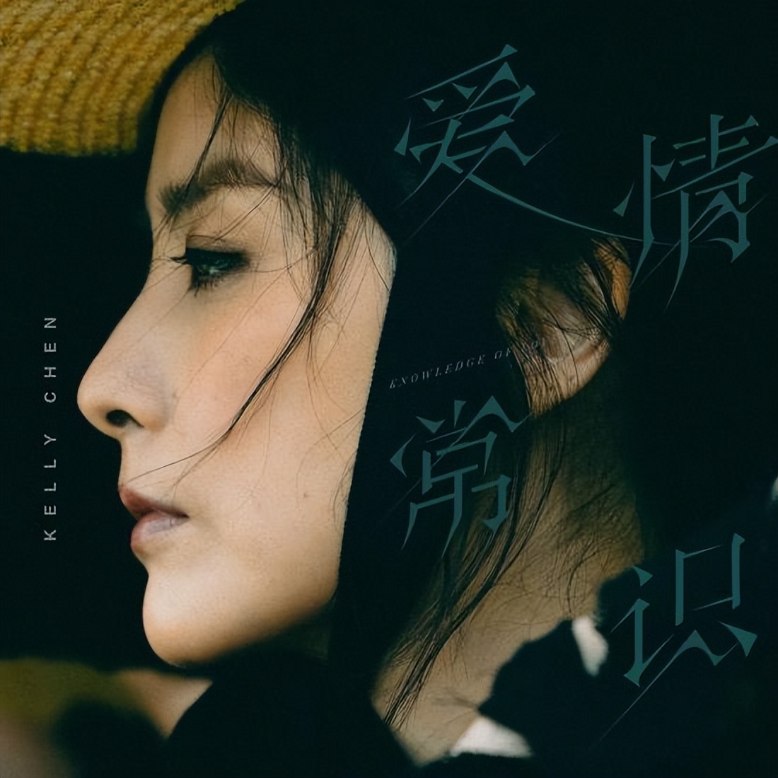 Kelly Chen Huilin's single "Love Common Sense", the queen of electronic dance music returns to ...