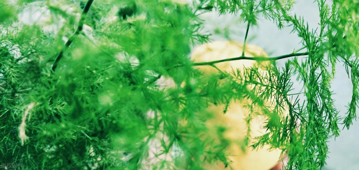 Browse the biography of Zhou Wang, view the mountains and seas, and ...