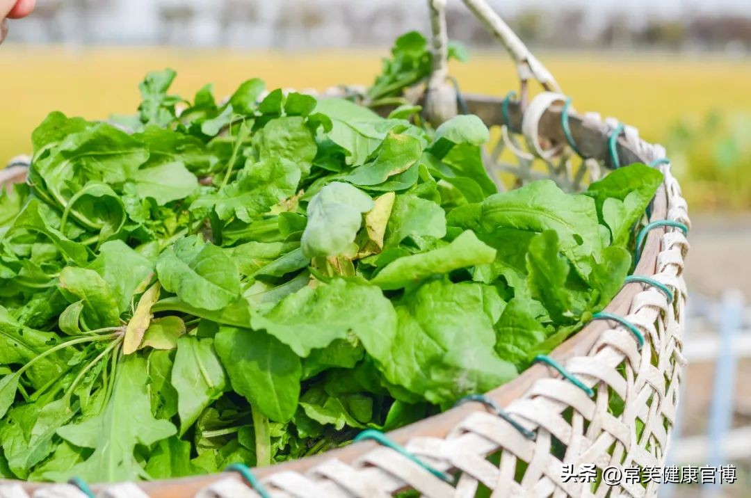 These 6 kinds of wild vegetables in spring not only have the taste of ...