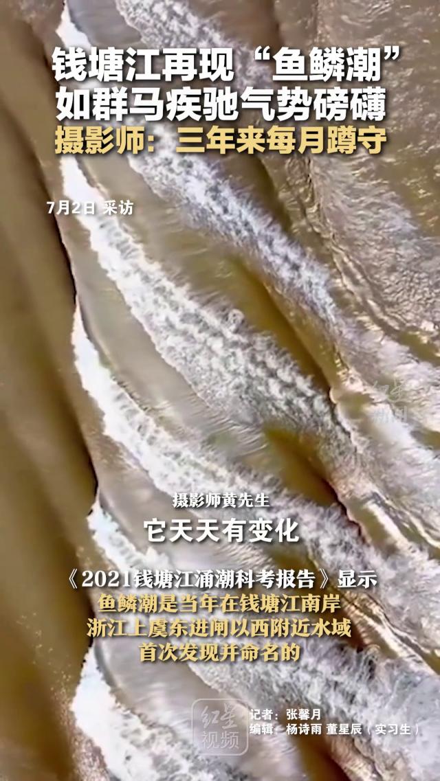 The rare "ripple fish scale tide" in Qiantang River reappears ...