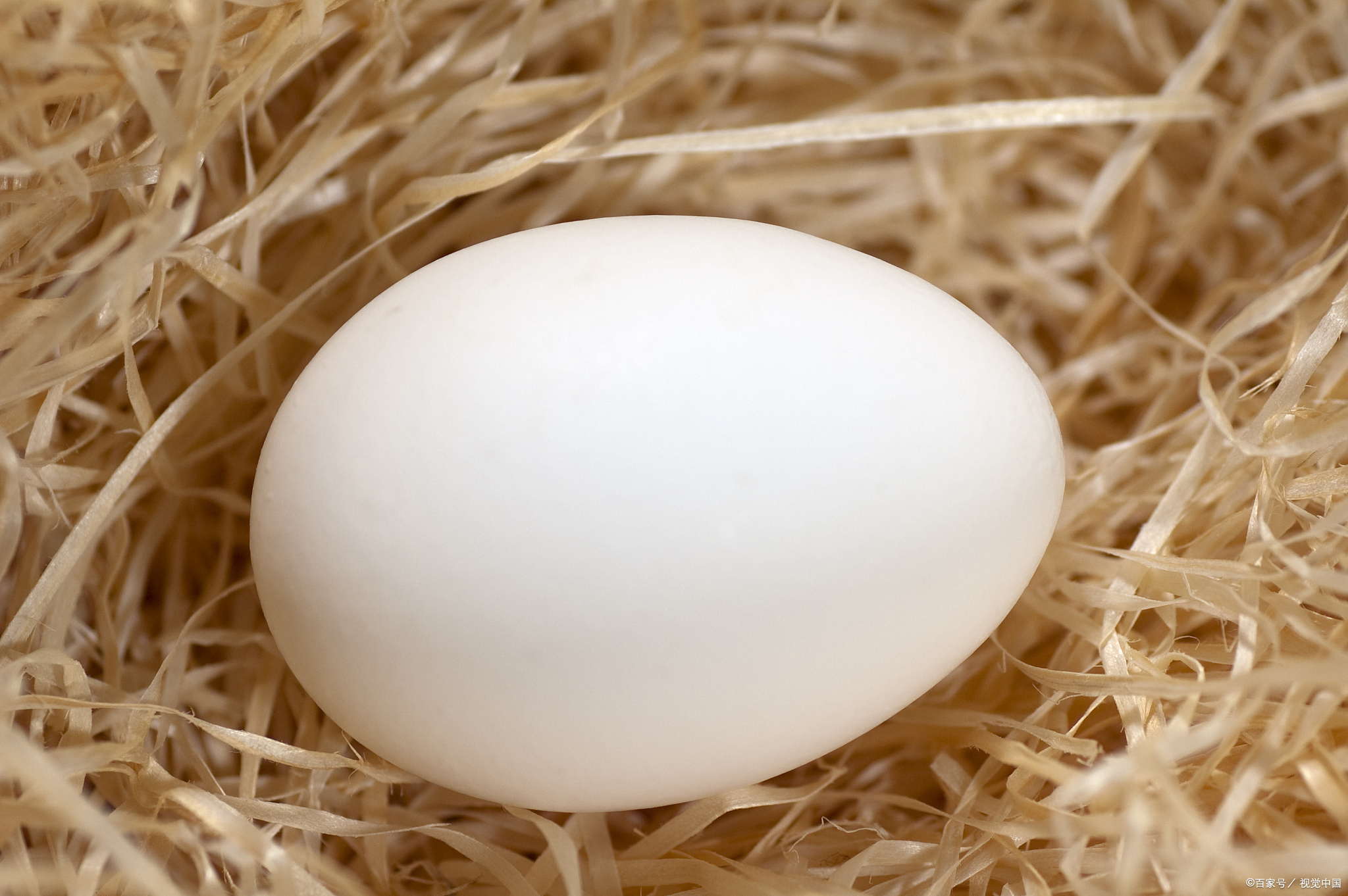 How to steam steamed goose eggs delicious and tender - iMedia