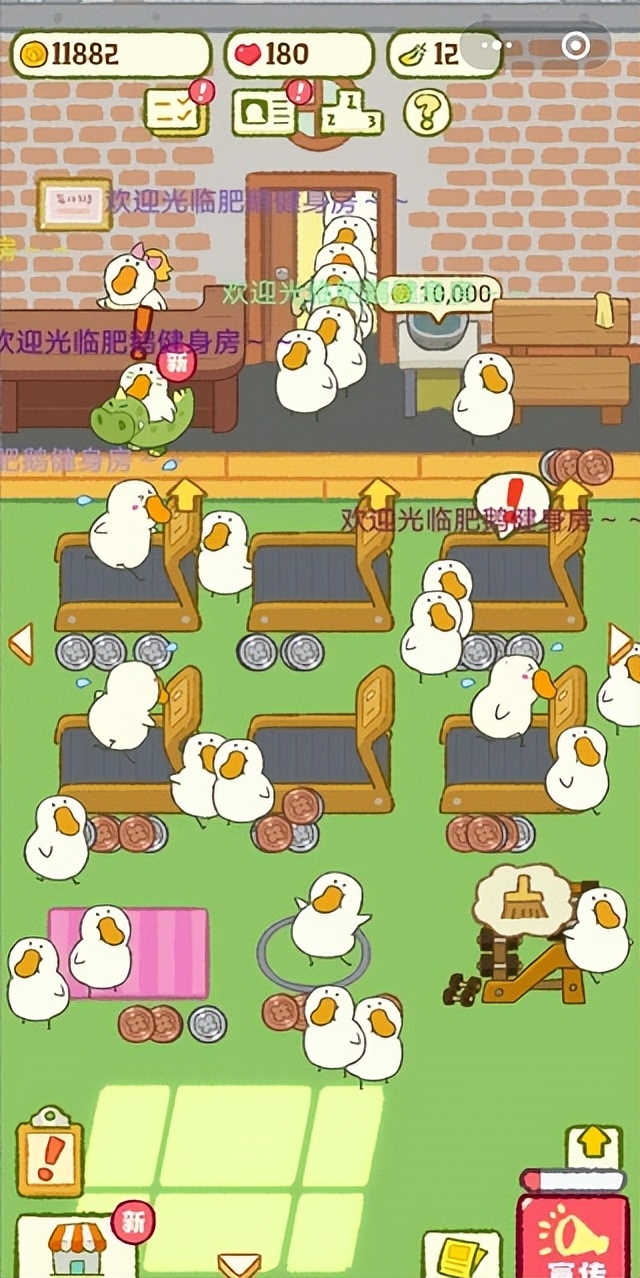 Fat Goose Gym Raiders - iMedia