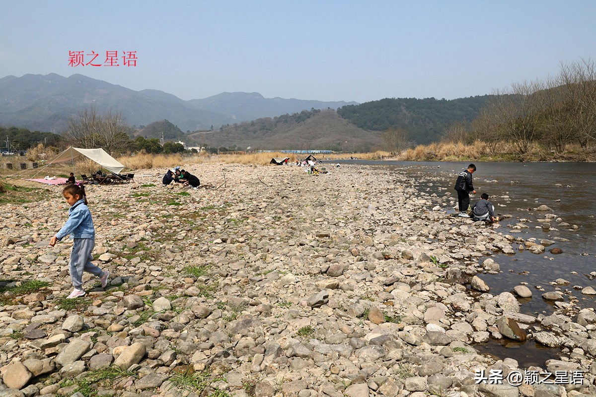 The eighth song of Shanxi River, along the sand embankment, a paradise ...