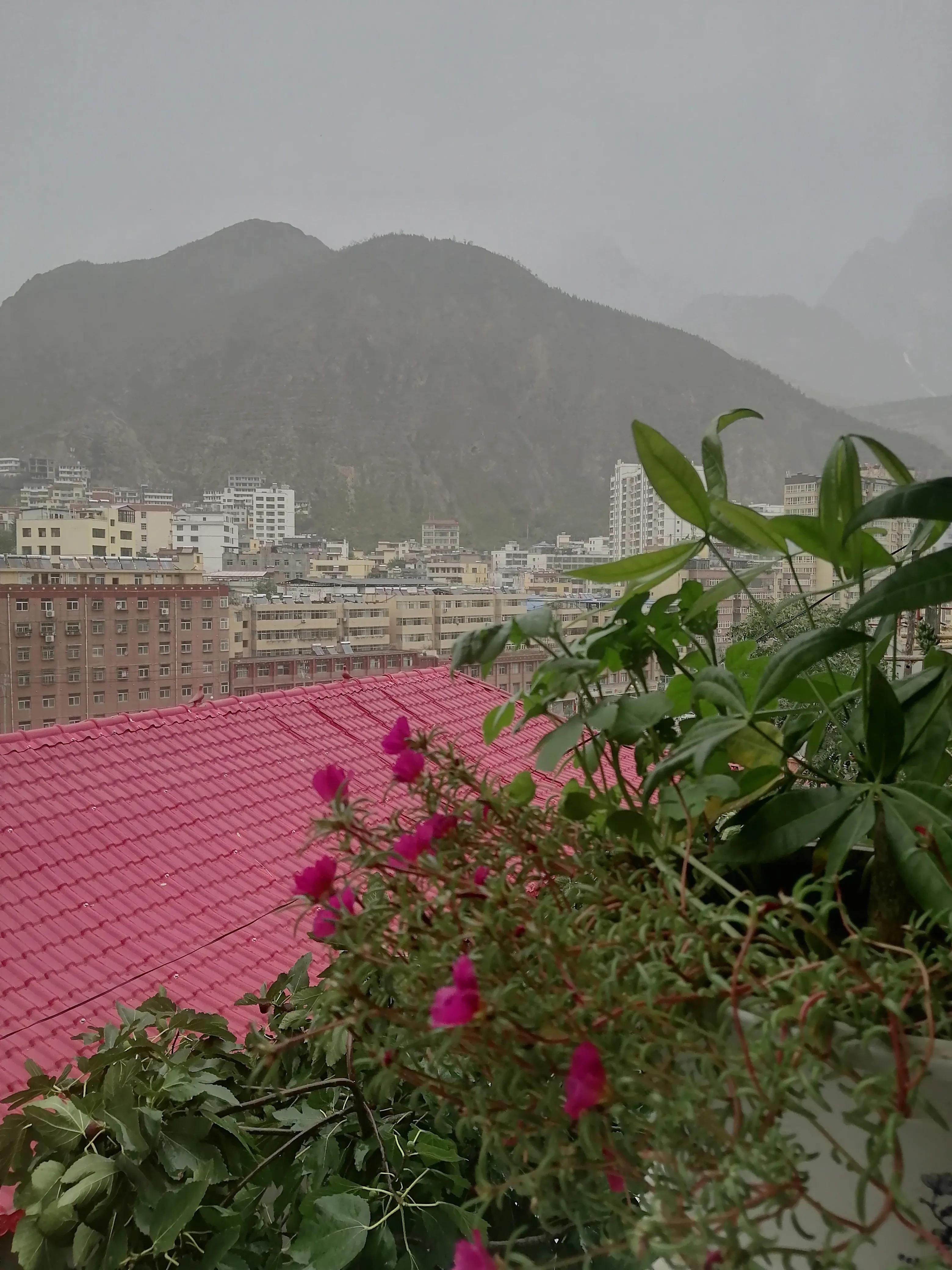 Wang Yonghong's original "Xiamu Yunyu" - iNEWS