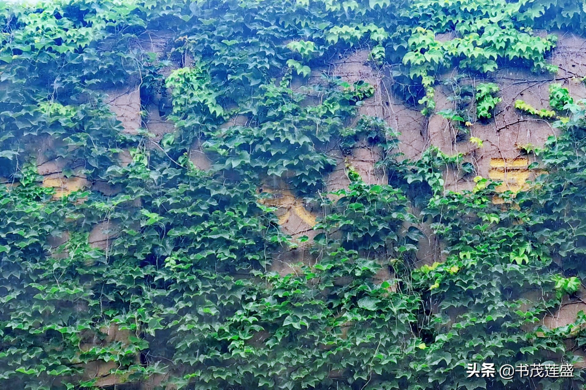 The end of the sky, the corner of the earth, Nanjing has a corner of ...