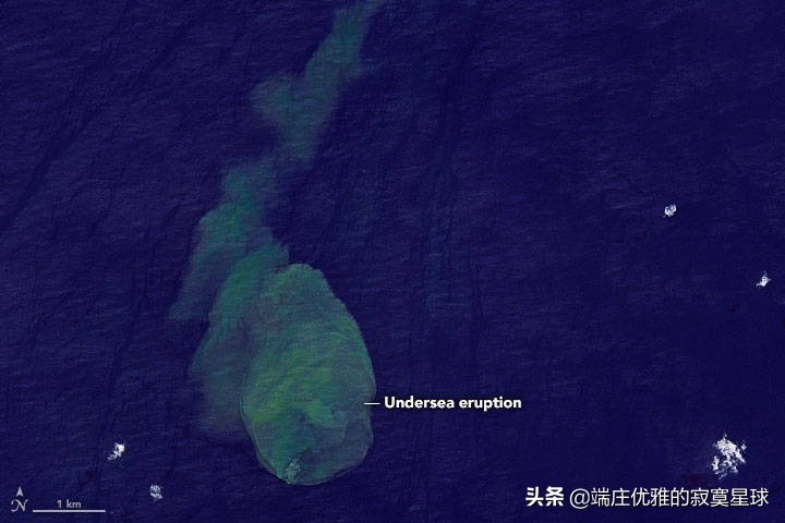 The most active underwater volcano inhabits a large number of sharks ...