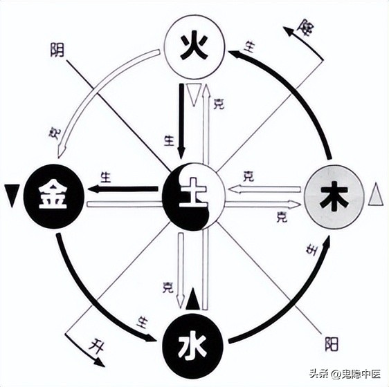 Chapter Fourteen Tai Yin Yang Ming Diseases - iMedia