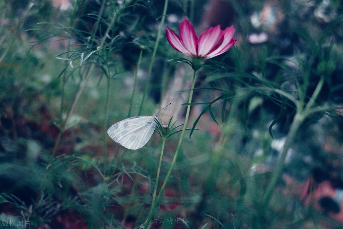 Is it difficult for a 42-year-old unmarried woman to live a bad life ...