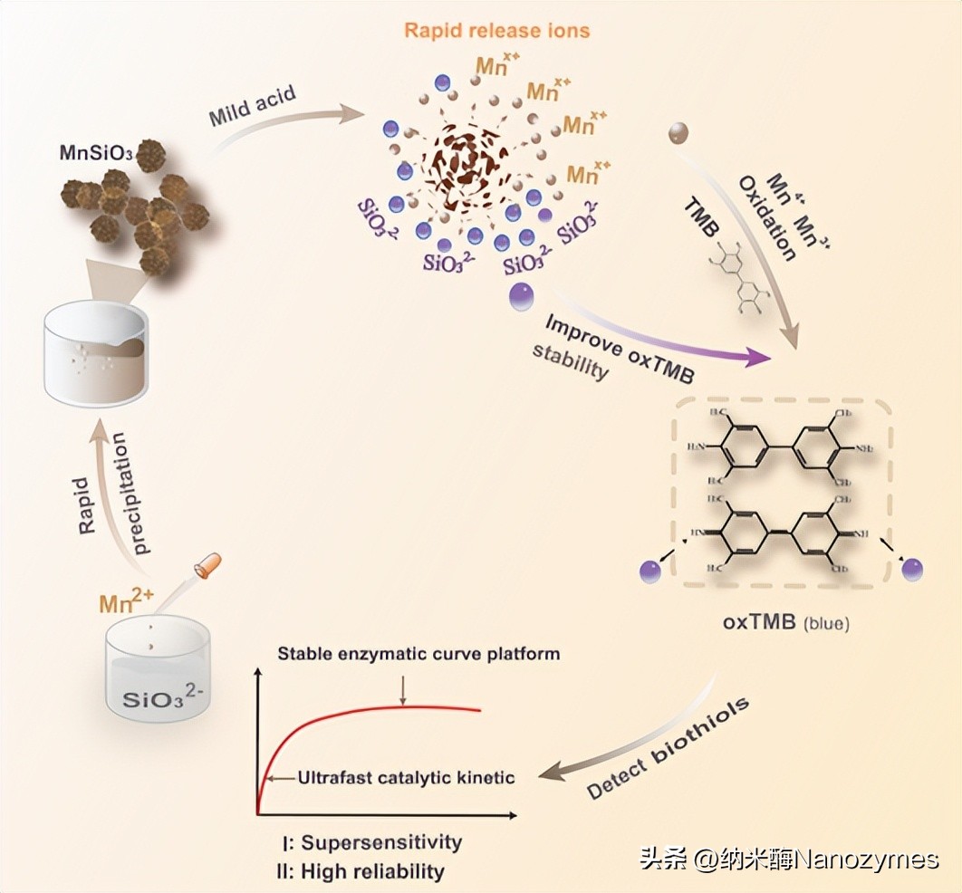 穩定酶促曲線和超快動力學賦予納米酶可靠性和靈敏度 - 資訊咖