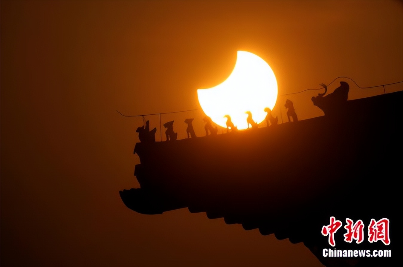 Zhao Juan: Why has China's "magic beasts" continued to attract the West ...