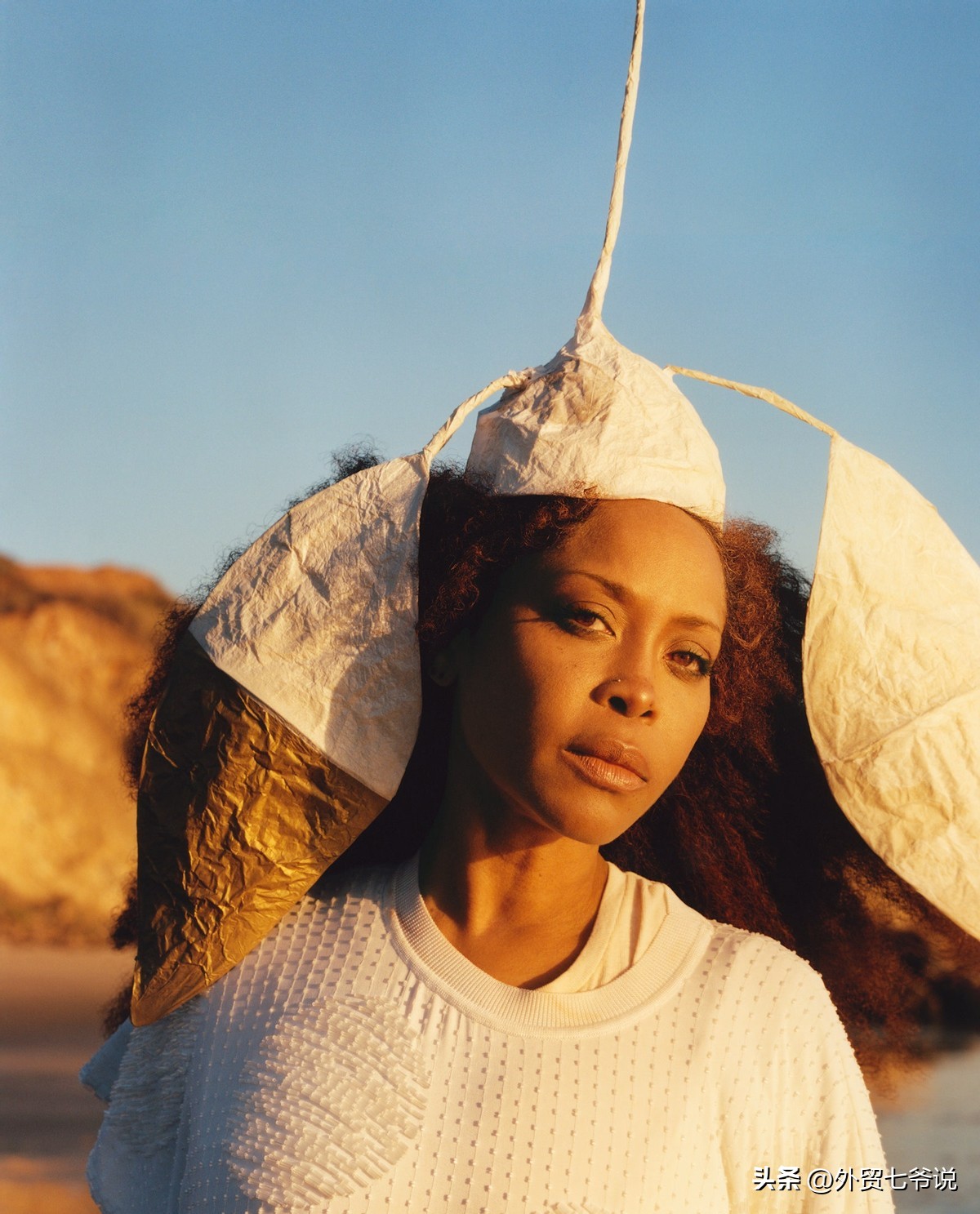 Erykah Badu, the most popular black singer and fashion icon before ...