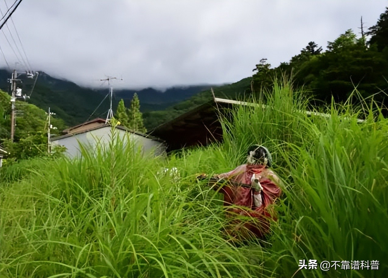 When the people of a small village become dolls, explore the unique ...