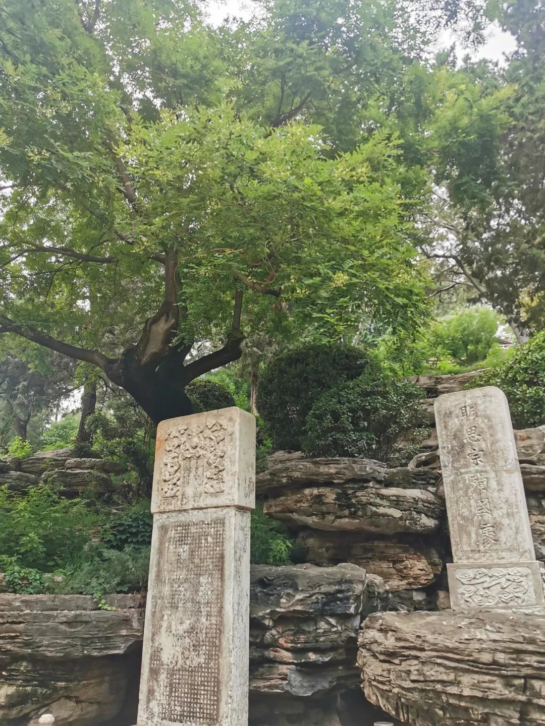 Can the Ming Dynasty avoid the road to perdition? - iNEWS