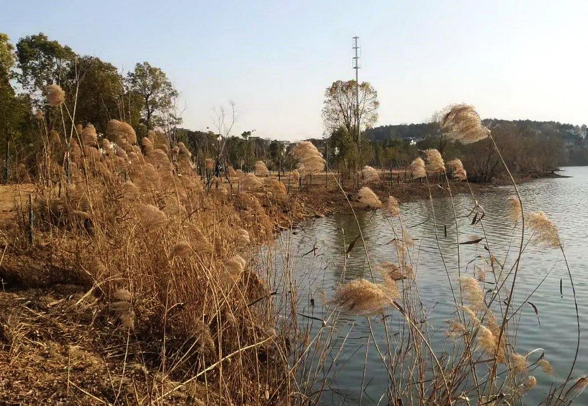 Song Jiao Ren went to Taoguang Temple, Lin Tianyu recited sad poems - iNEWS