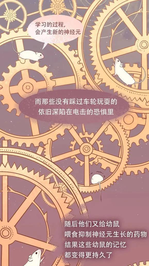 Why does the brain "lose" the memory before the age of 3?What did you ...