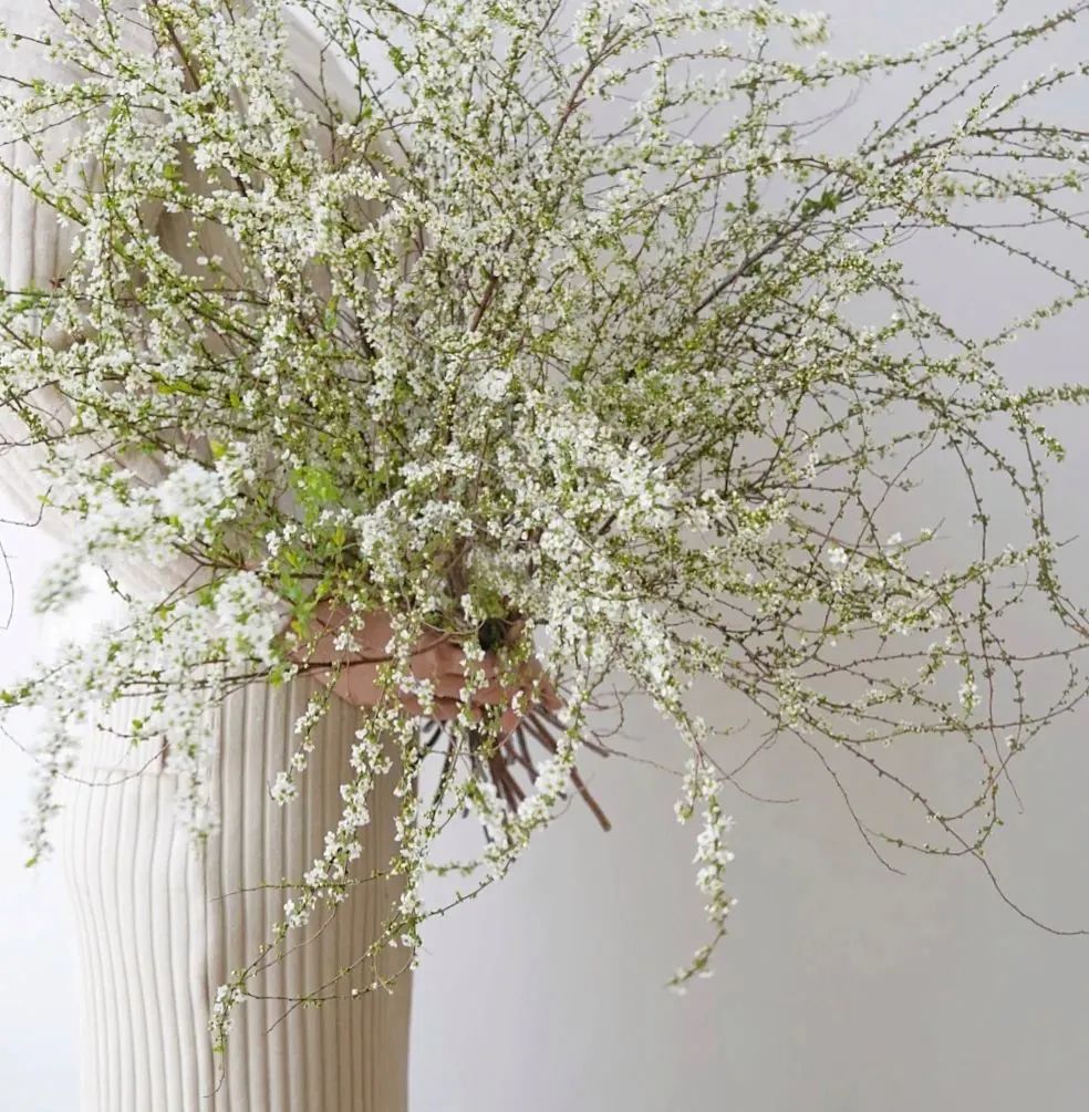 5 kinds of "vase partner" flowers, insert a dead branch, and the pot ...