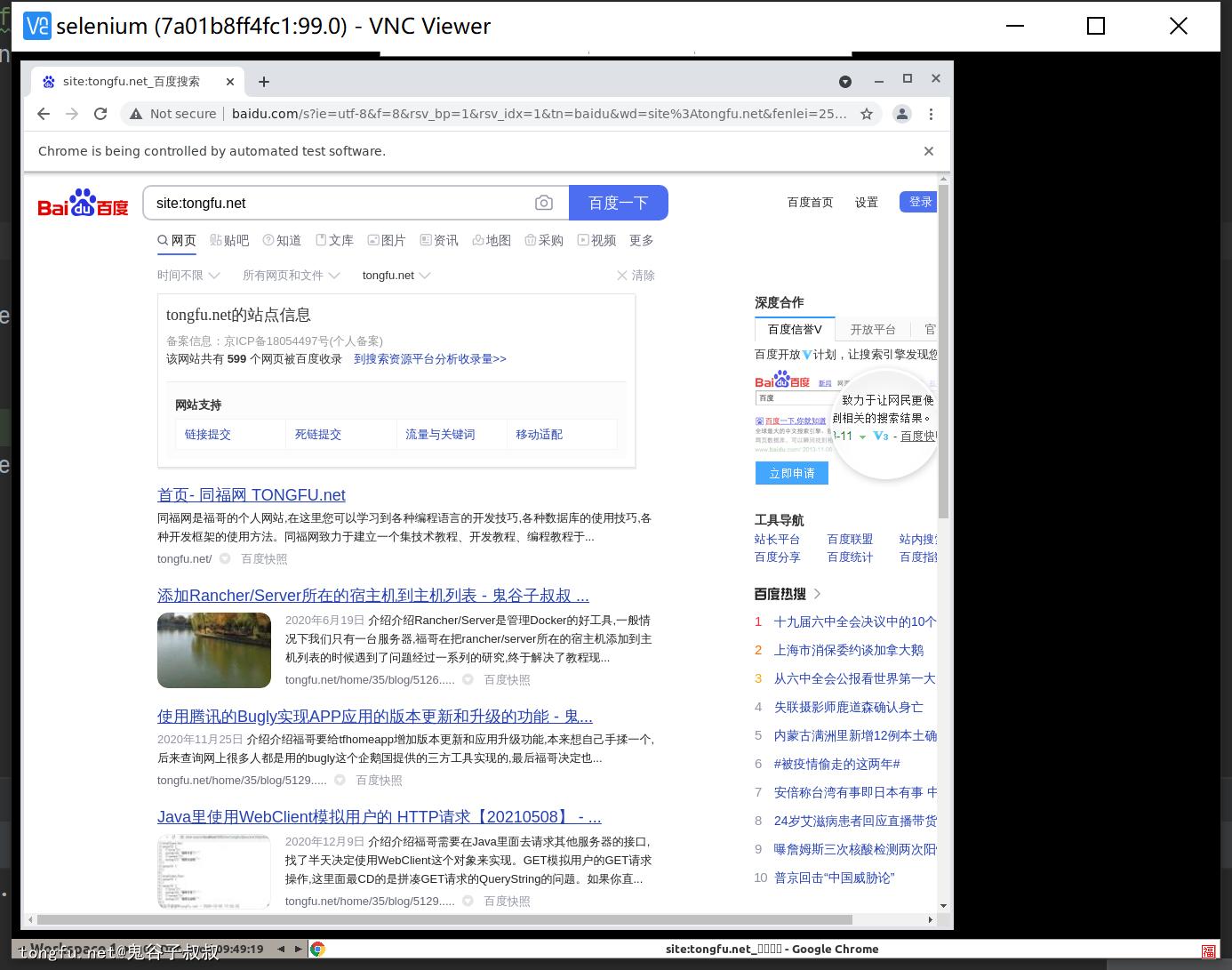 Python使用selenium操作Docker里的Chrome瀏覽器的技巧 - 頭條匯