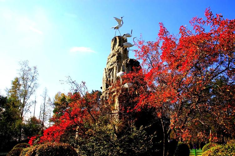 Jiamusi departed for Hegang, the scenery here was surprising just after ...