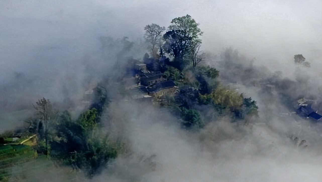 What is miasma? Will the forest really be filled with miasma and cause ...